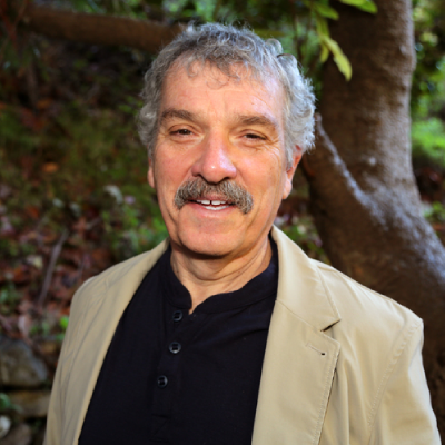 Webinar: Working with illness, disease and dying from an embodied ...